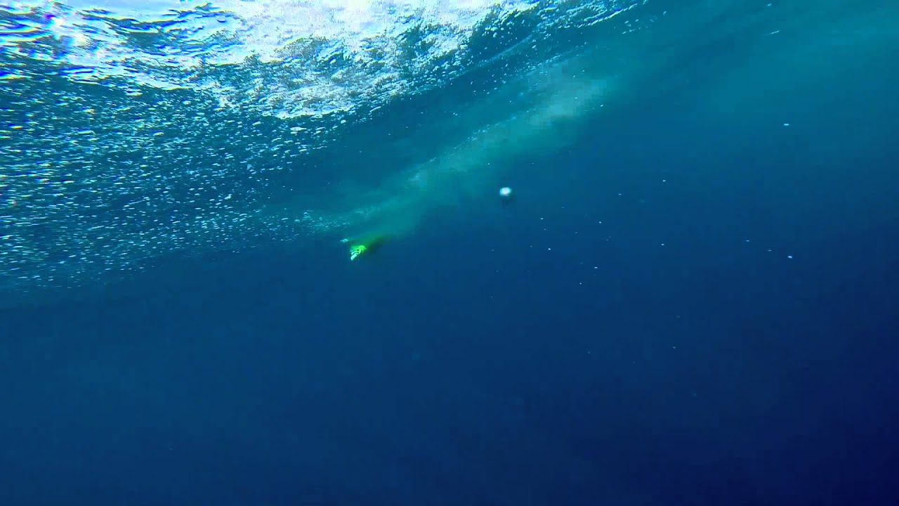 Deep Sea Fishing - Dorado - YouTube