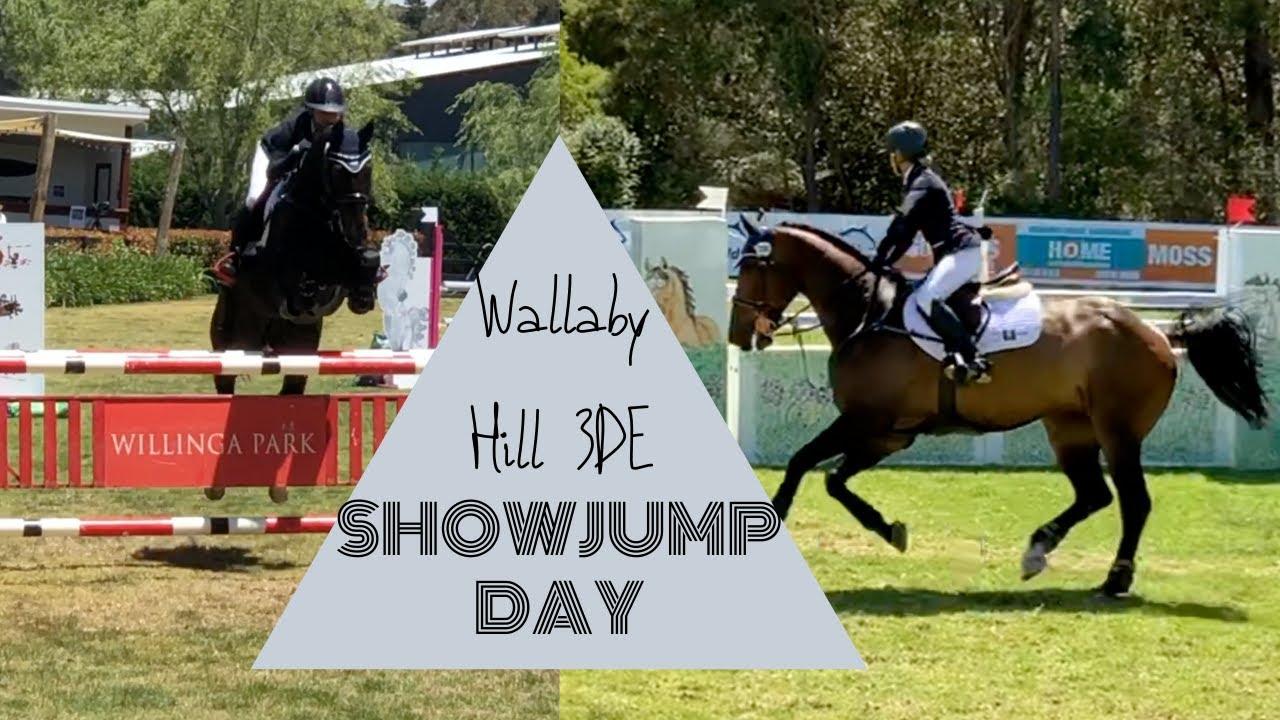 Who won the CHAMPAGNE? Crazy Dancing!! Wallaby Hill 3DE SJ Day - YouTube