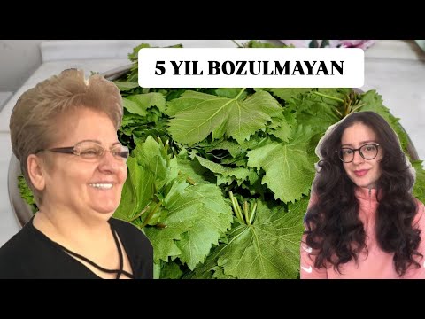 YAPRAK ALDIĞIMDA YAPIYORUM 😌 PÜF NOKTALARIYLA YAPRAK SAKLAMA YÖNTEMLERİ SALAMURA YAPRAK KURU BASIM 💯