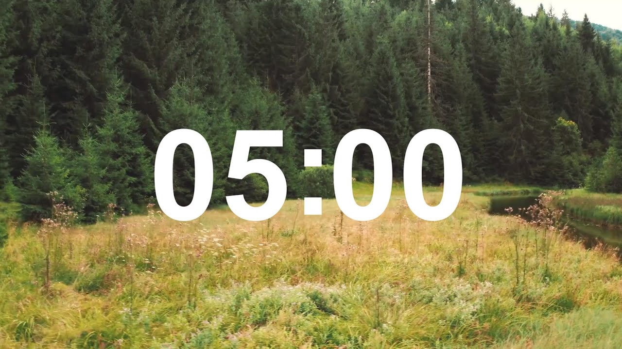 5 Minute Timer [A Day in the Mountains] with Calming Music and ...