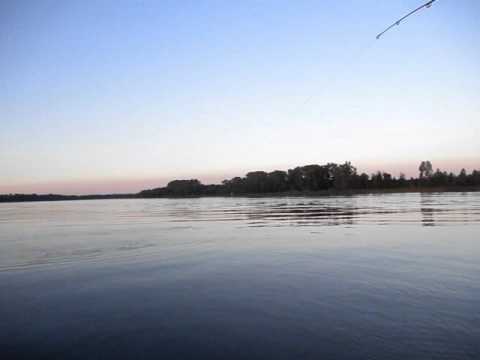 Angeltour auf Wels im Rhein bei Strasbourg Nr.1 - 5 - YouTube