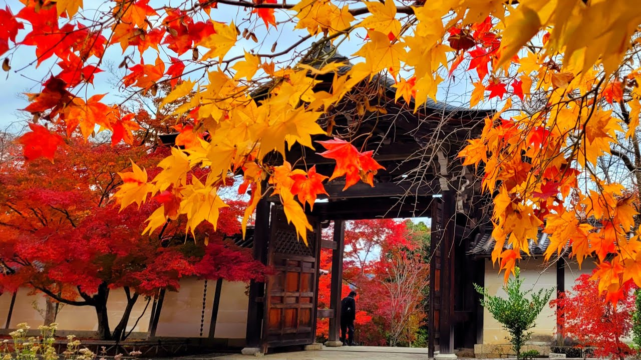 Ultimate Autumn Journey Through Nison-in Temple Japan! - YouTube