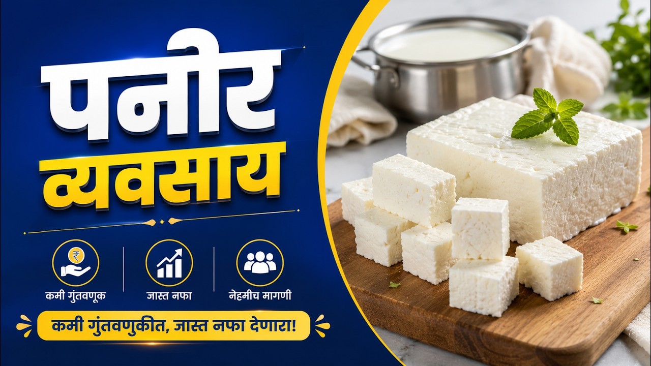 Paneer Making Business I कमी गुंतवणुकीत जास्त नफा देणारा पनीर व्यवसाय I ...