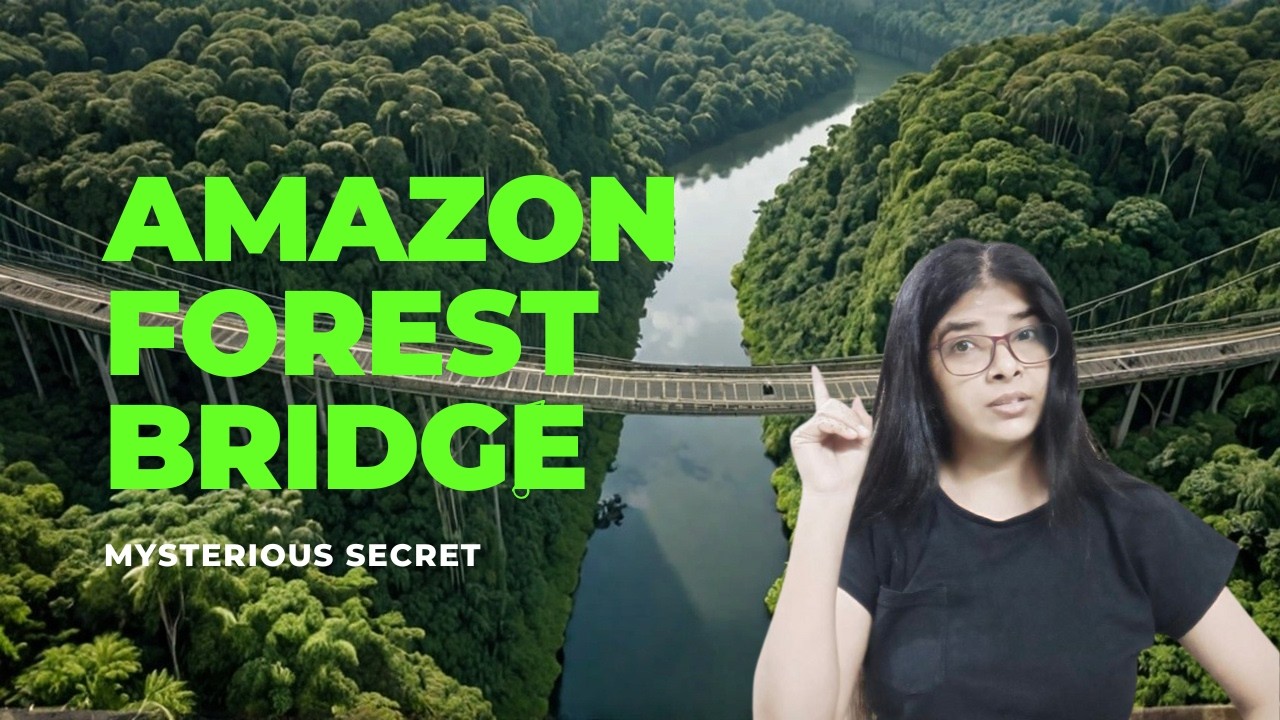 Crossing the Amazon's Longest Bridge (and Its Wild History) | World's ...