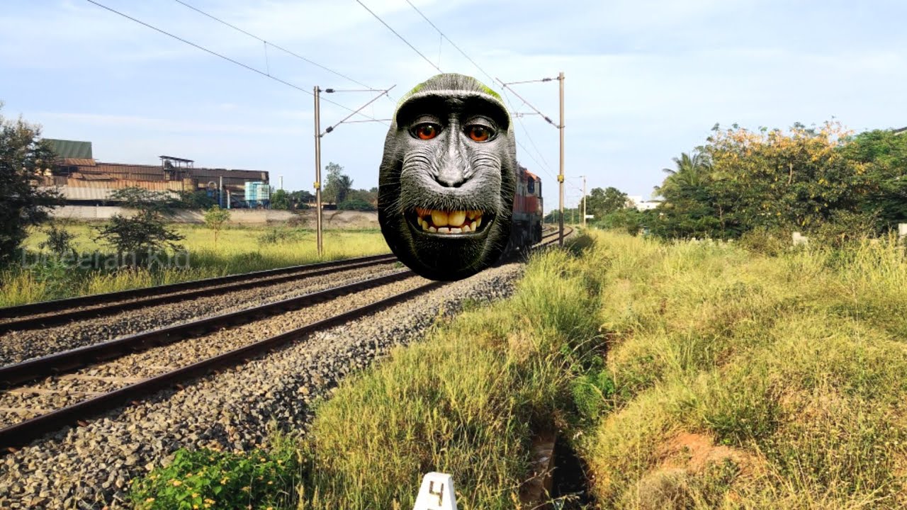 Funny Baboon Gorilla Train | Dheeran Kid | Funny Train Videos ...