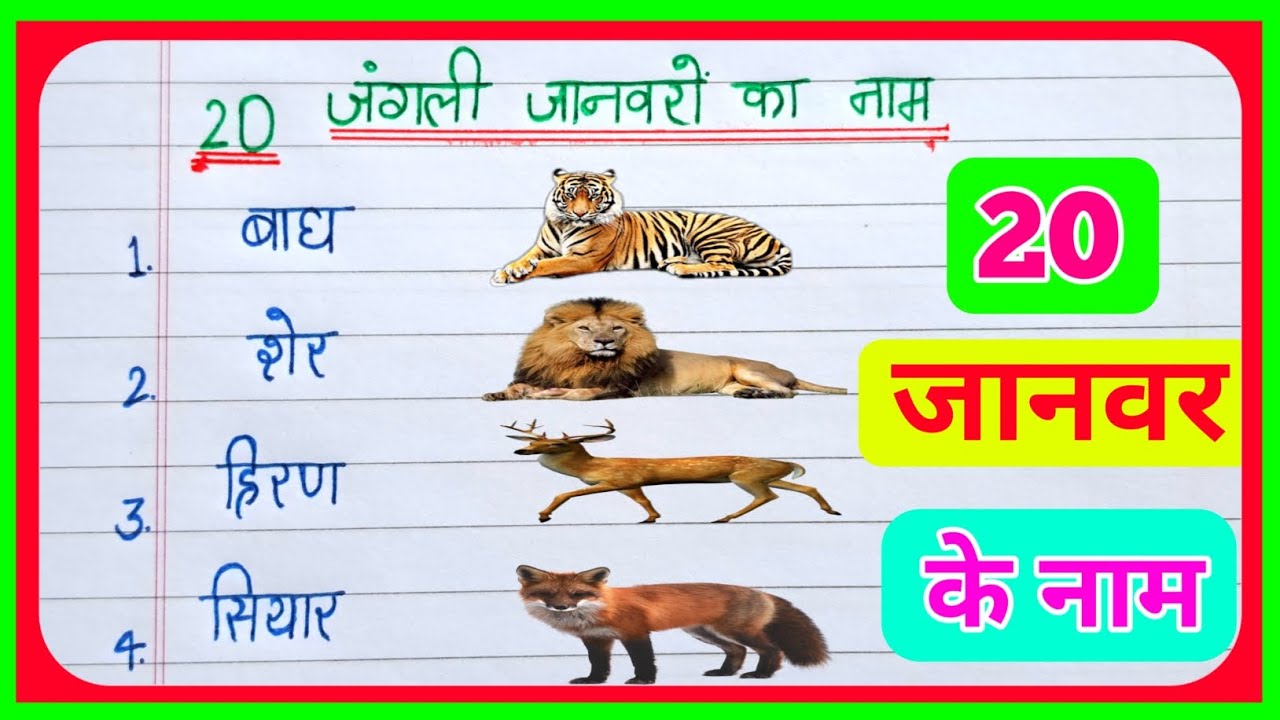 20 Janwar Name Ke Naam | जानवर के नाम | 20 Animals Name in hindi ...