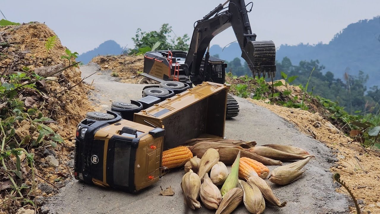 Full Video; Trucks, Excavators in Action Transporting Fruit - YouTube