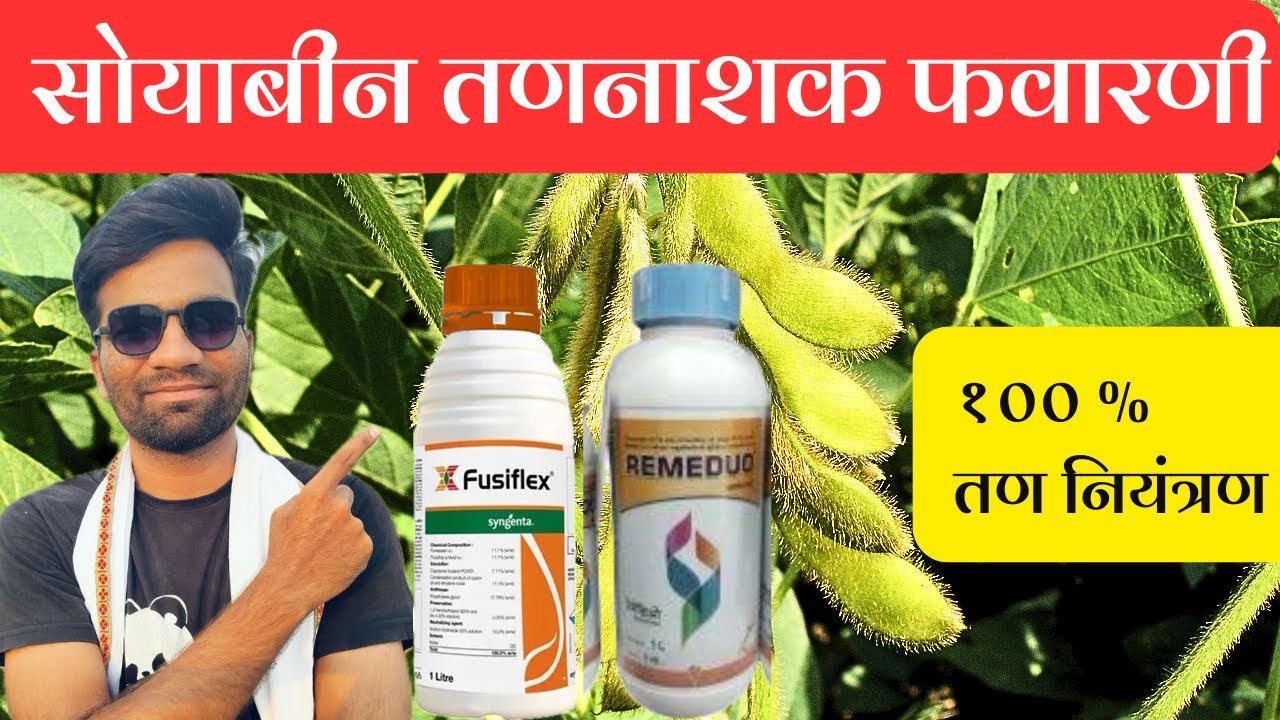 🫵सोयाबीन जबरदस्त तण नियंत्रण ☘️🌱 #soyabean #tannashak #सोयाबीन_खरपतार 💥 ...