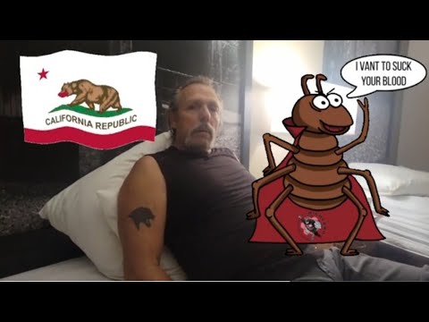 CALIFORNIA BED BUGS HITCH A RIDE FROM HOTELS #hotels #bedbugs # ...
