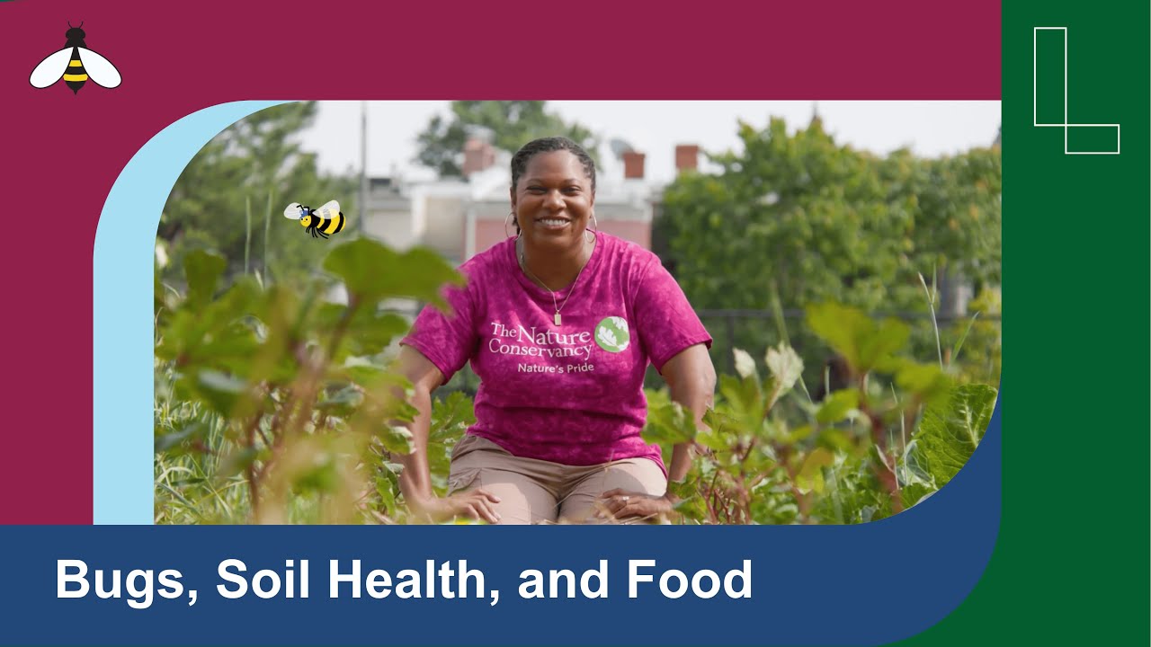 Tiny Creatures, Big Jobs: The Bugs That Make Food Possible - YouTube