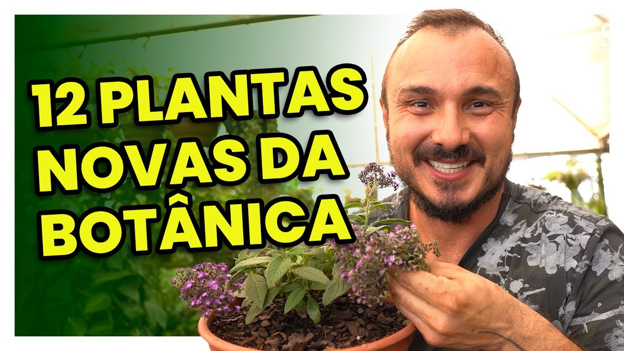 12 PLANTAS diferentes de tudo que você já viu | Aprenda dicas de ...