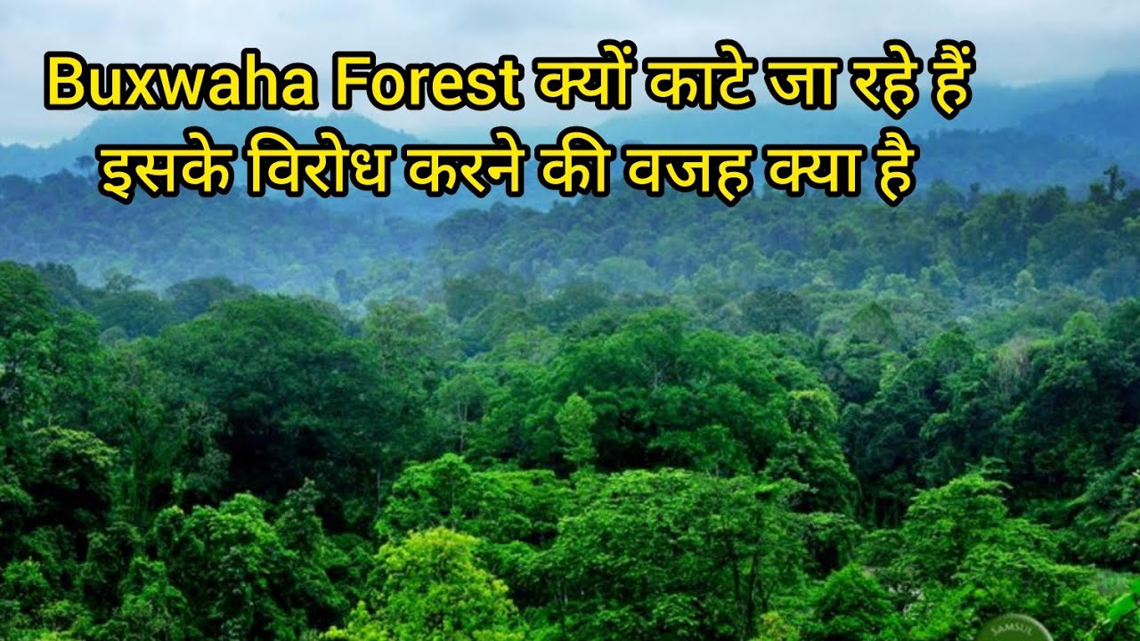 Buxwaha Forest Chhatarpur M.P. - YouTube