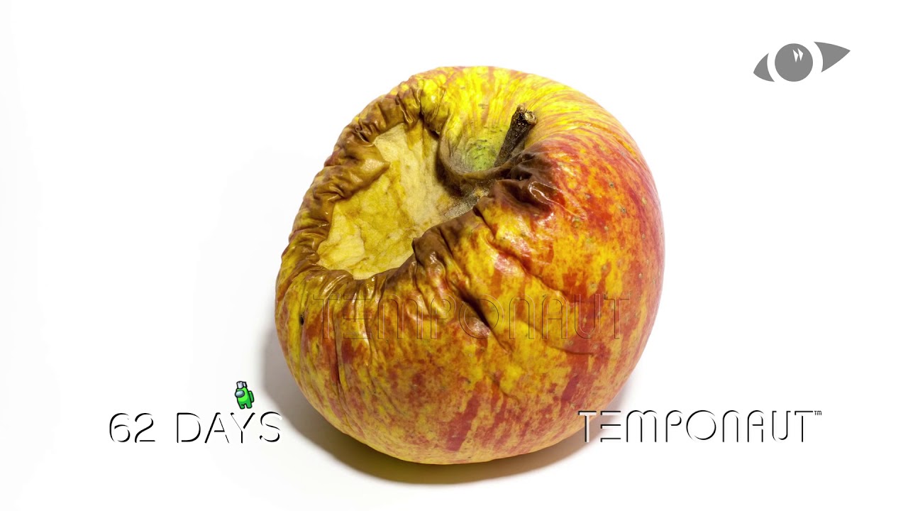 apple time lapse without intro and outro - YouTube