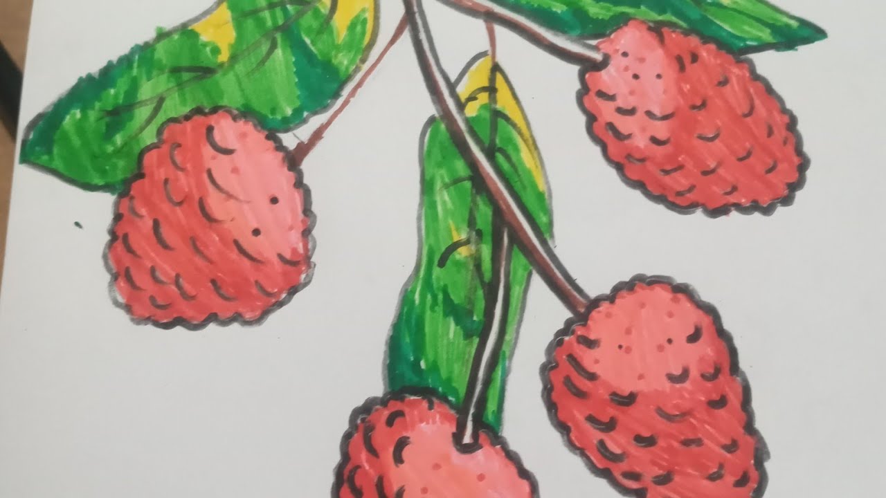 How to draw a lichi - YouTube