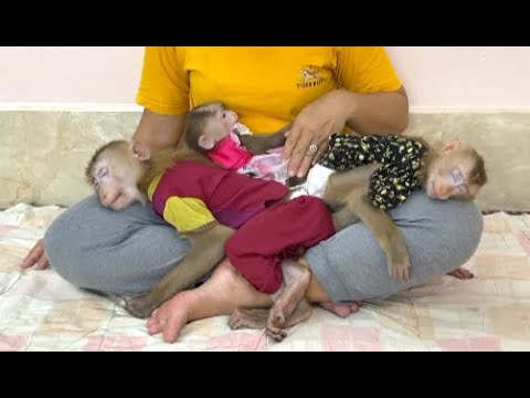 Mom Adore 3 Siblings To Sleep With Softly Comfort Till Falling Asleep ...