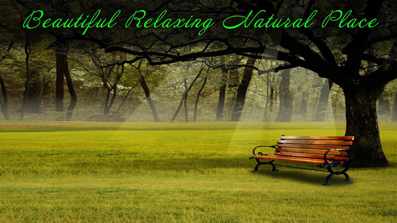 Beautiful Natural Scene with Bench for talk show - YouTube