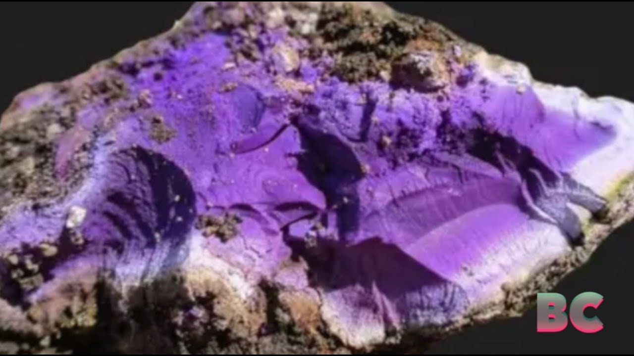 “Incredibly rare” ancient purple dye that was once worth more than gold ...
