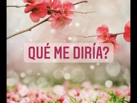 QUE ME DIRIA??? 🌟🤔🍄 - YouTube