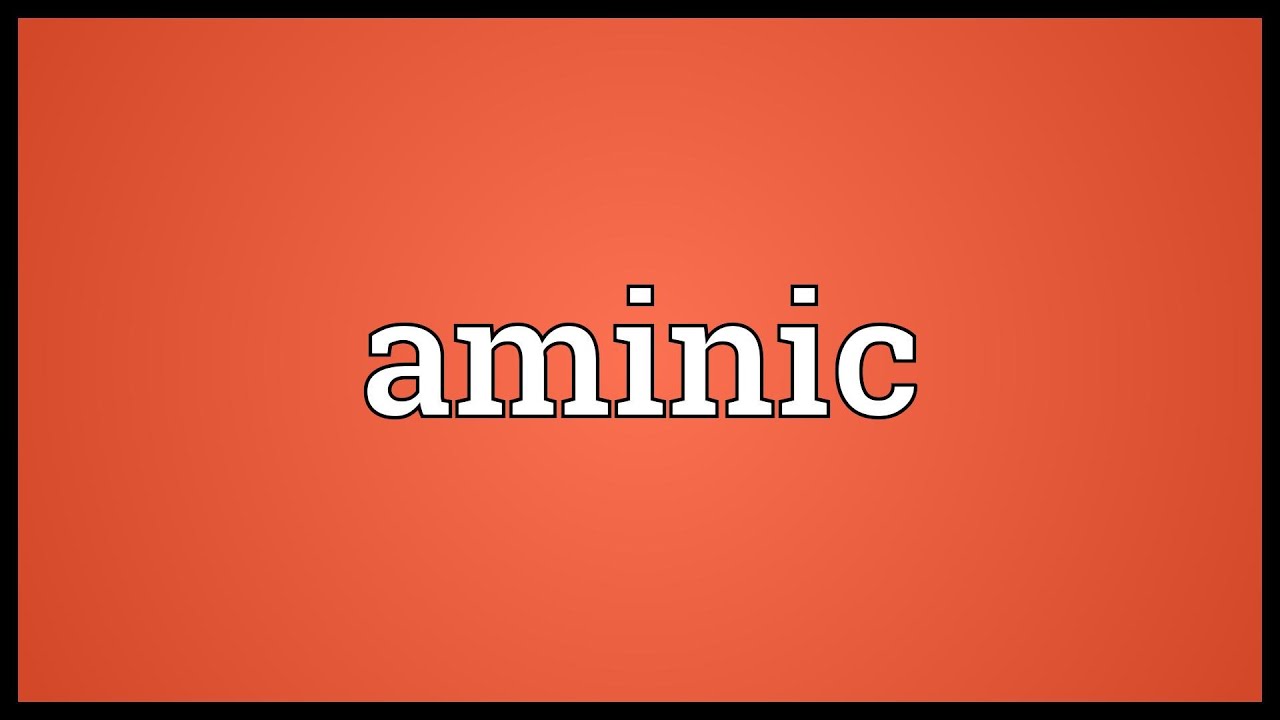 Aminic Meaning - YouTube