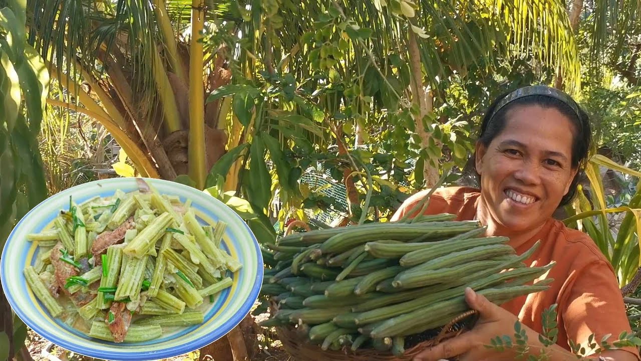 Ginataang Bunga ng Malunggay - YouTube