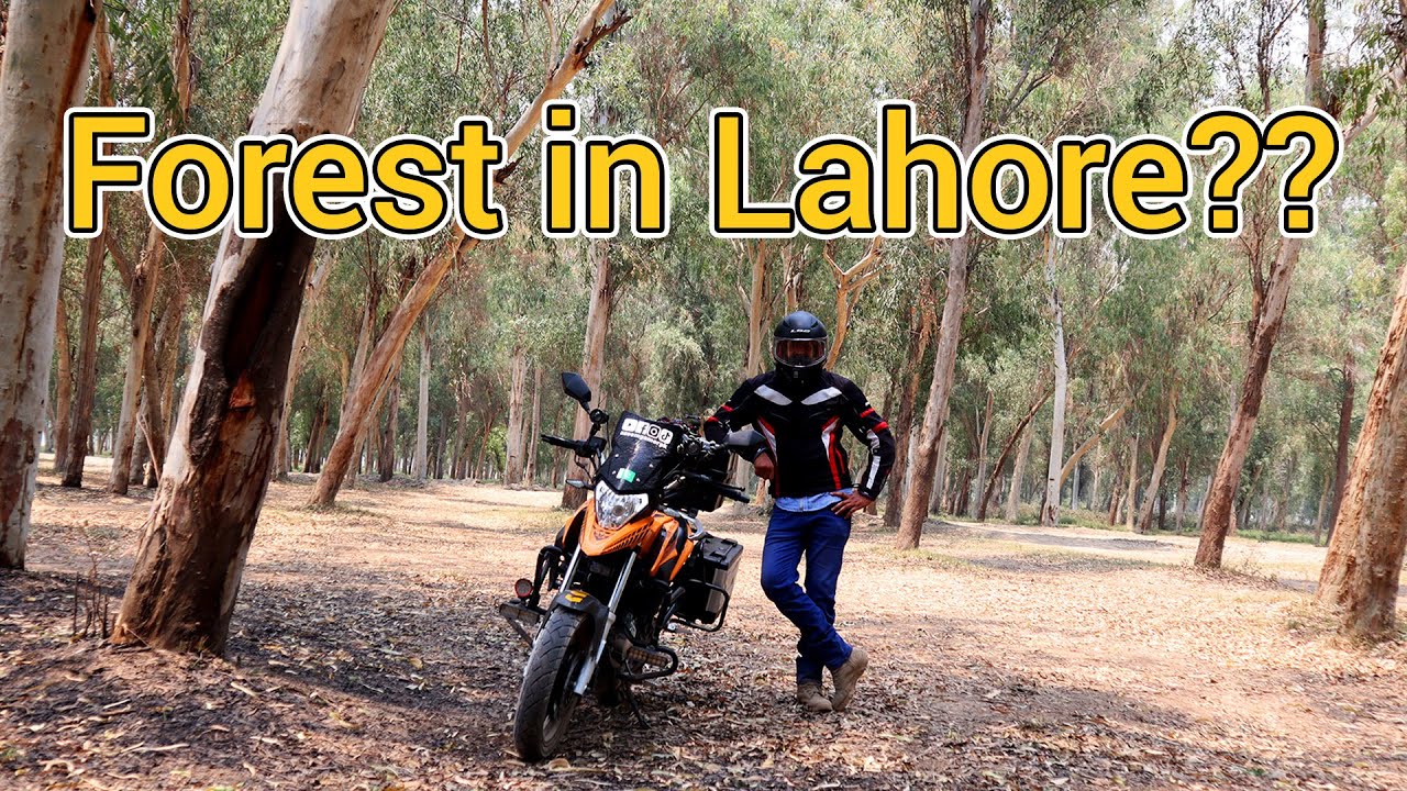 A Hidden Forest of Pakistan | Jhok Reserve Forest Lahore - YouTube