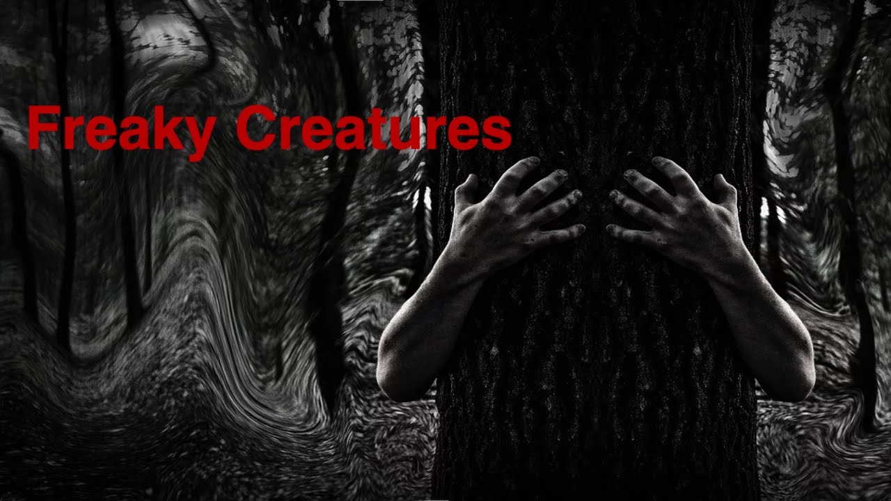 2 Freaky Creature Encounters (True Stories) - YouTube