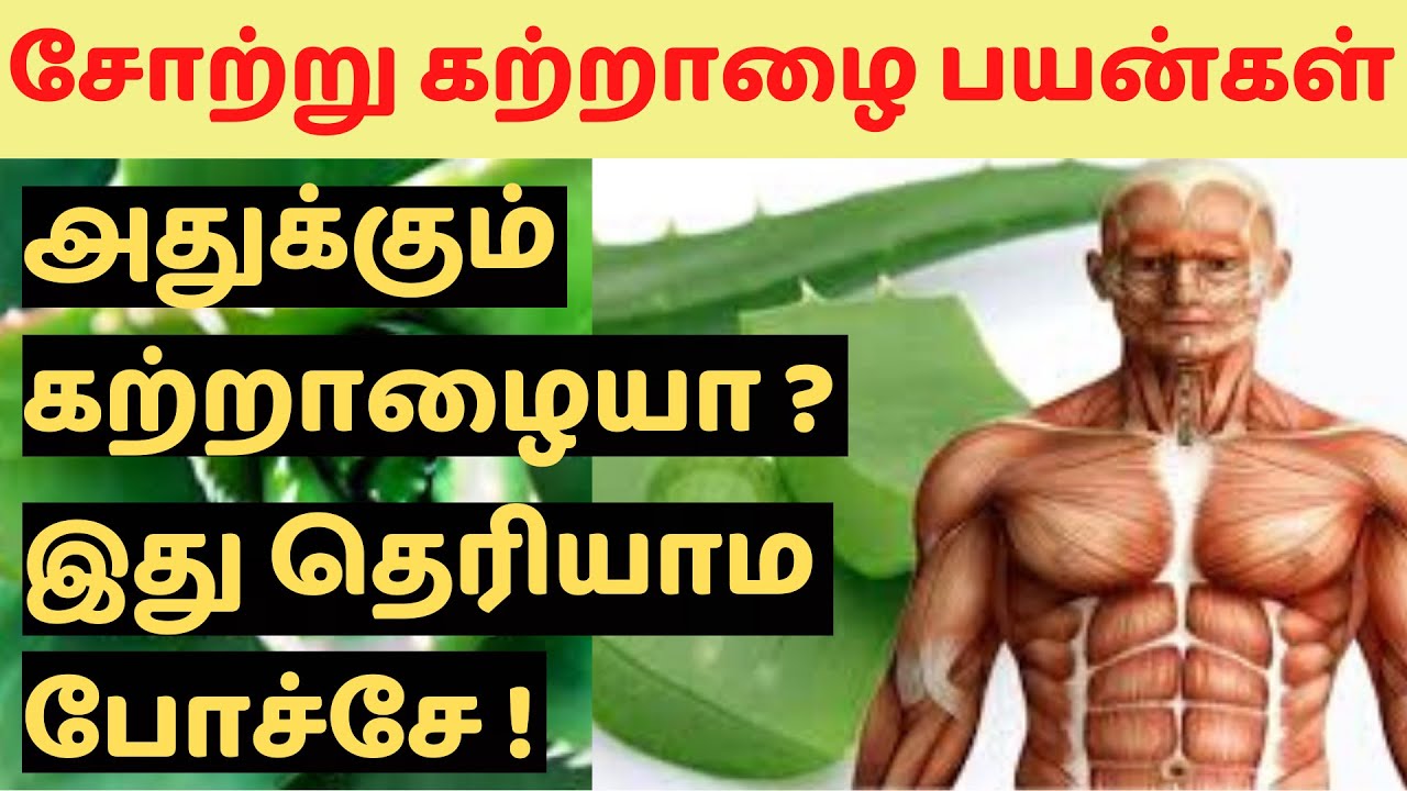 🔴 சோற்று கற்றாழை பயன்கள் | Benefits Of ALOEVERA in Tamil | Sotru ...