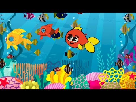 "Fish Song 2025! | Fun & Educational Fish Nursery Rhyme for Kids" - YouTube