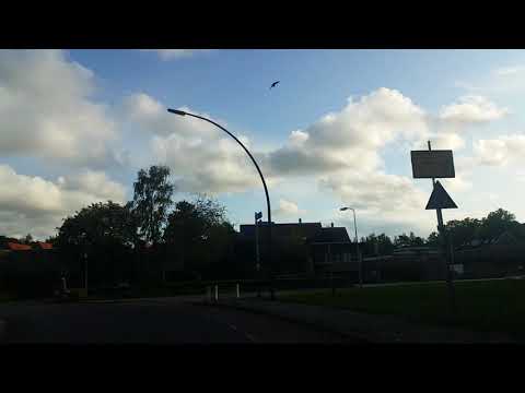 Men Hele Ölmemişem-Şebnem Tovuzlu