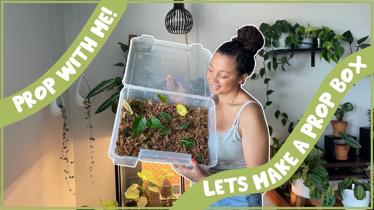 Let's Make a Prop Box! | How to Create and Maintain a Propagation Box ...