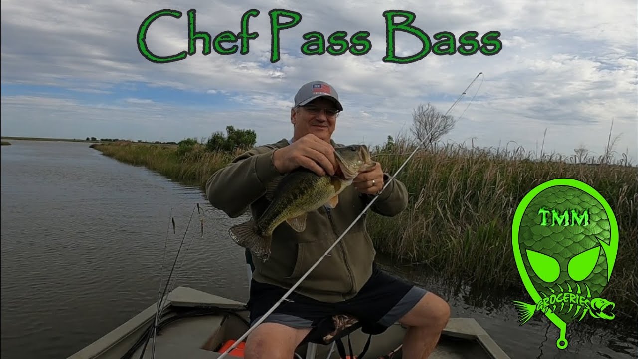 Chef Pass Bass - YouTube