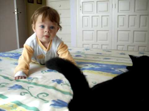 María grabbing our cat's tail...mission accomplished! - YouTube