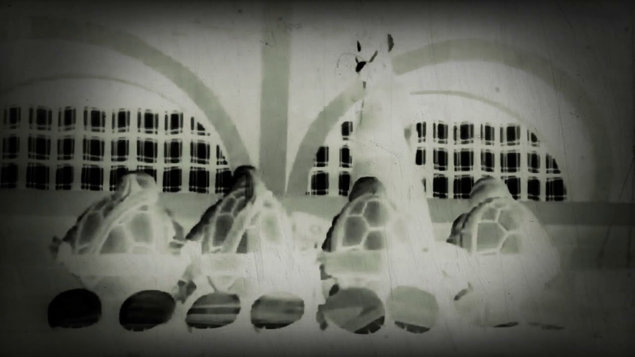 Tmnt turtle temper colorful - YouTube