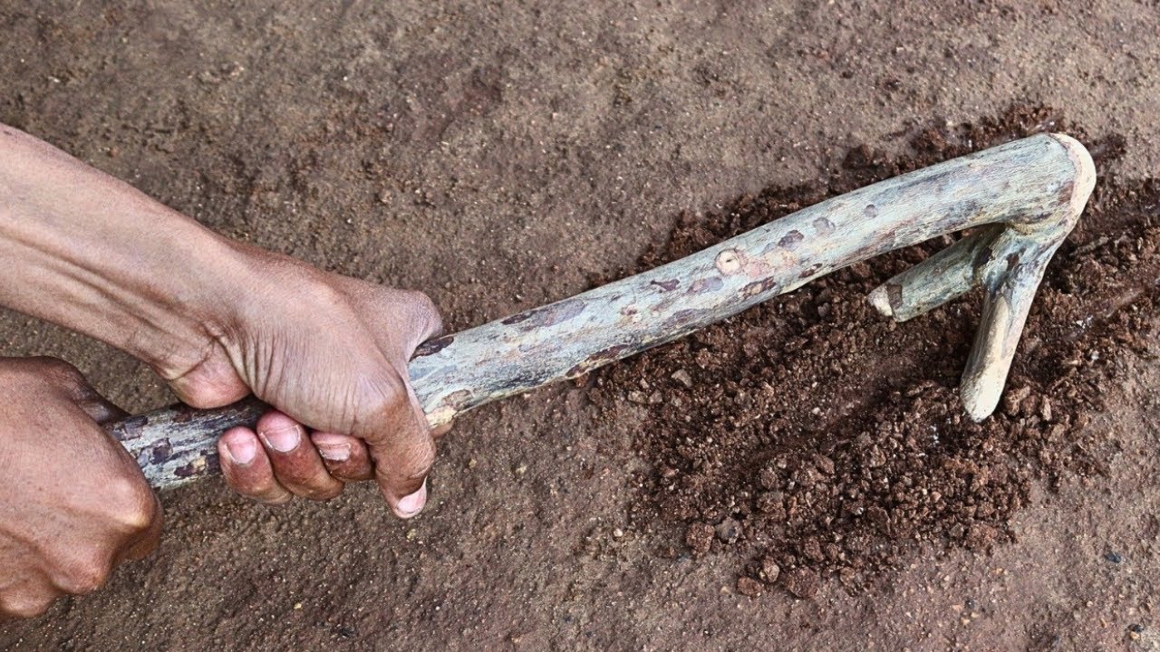 I made a Primitive Hoe From Tree Branches | Stone Age Farming - YouTube