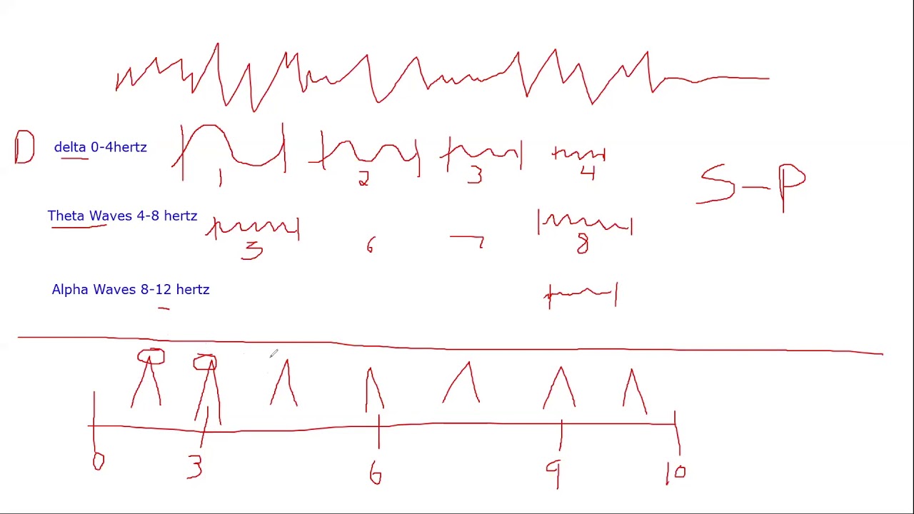 Brainwaves(EEG) Explained - Royer Neuroscience