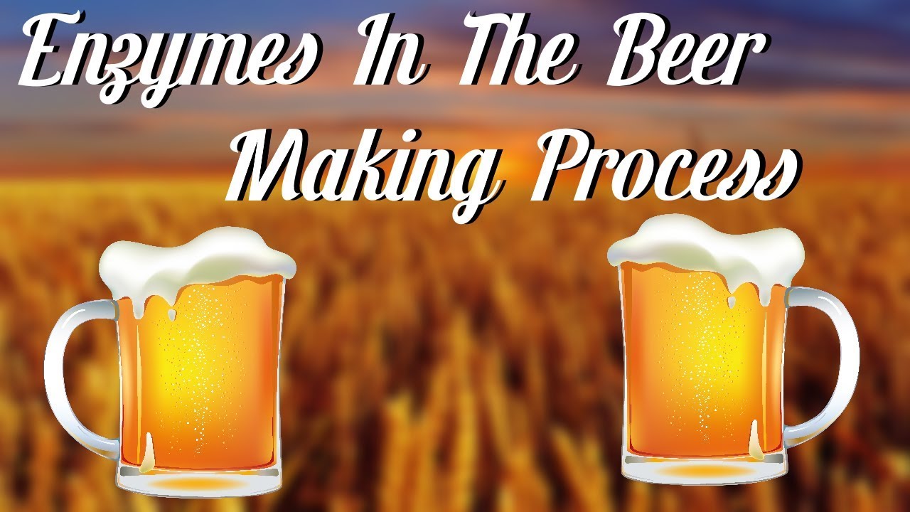 Enzymes | The Beer Making Process | TDM Productions - YouTube
