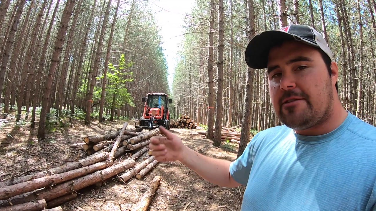 Kioti Tractor Moving Logs with HLA Root Rake Grapple - YouTube
