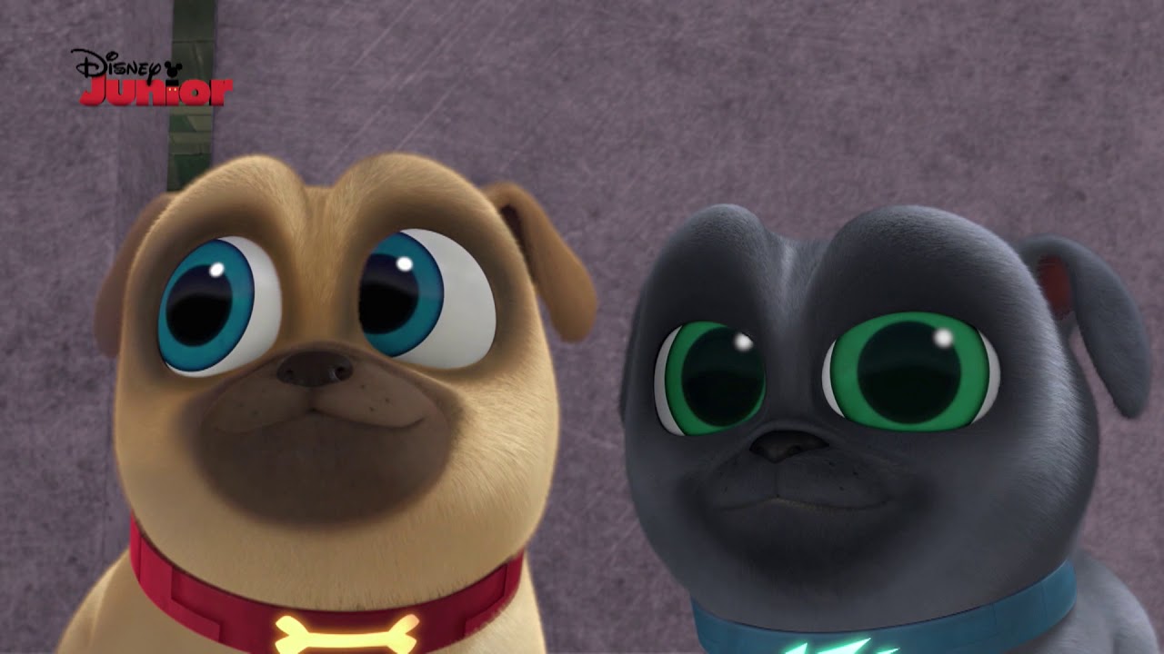 Bingo e Rolly - Momentos Mágicos: O Pote de Ouro - YouTube