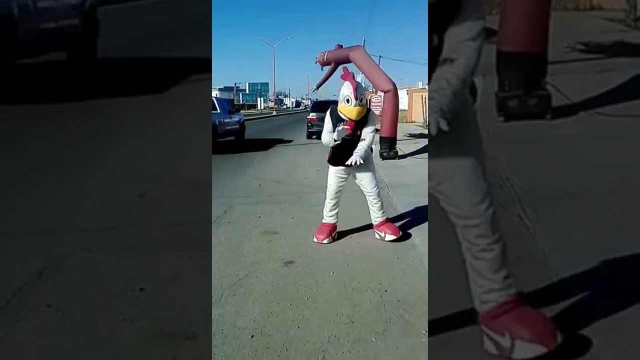 Pollo botarga botando el balón de Basket Ball - YouTube