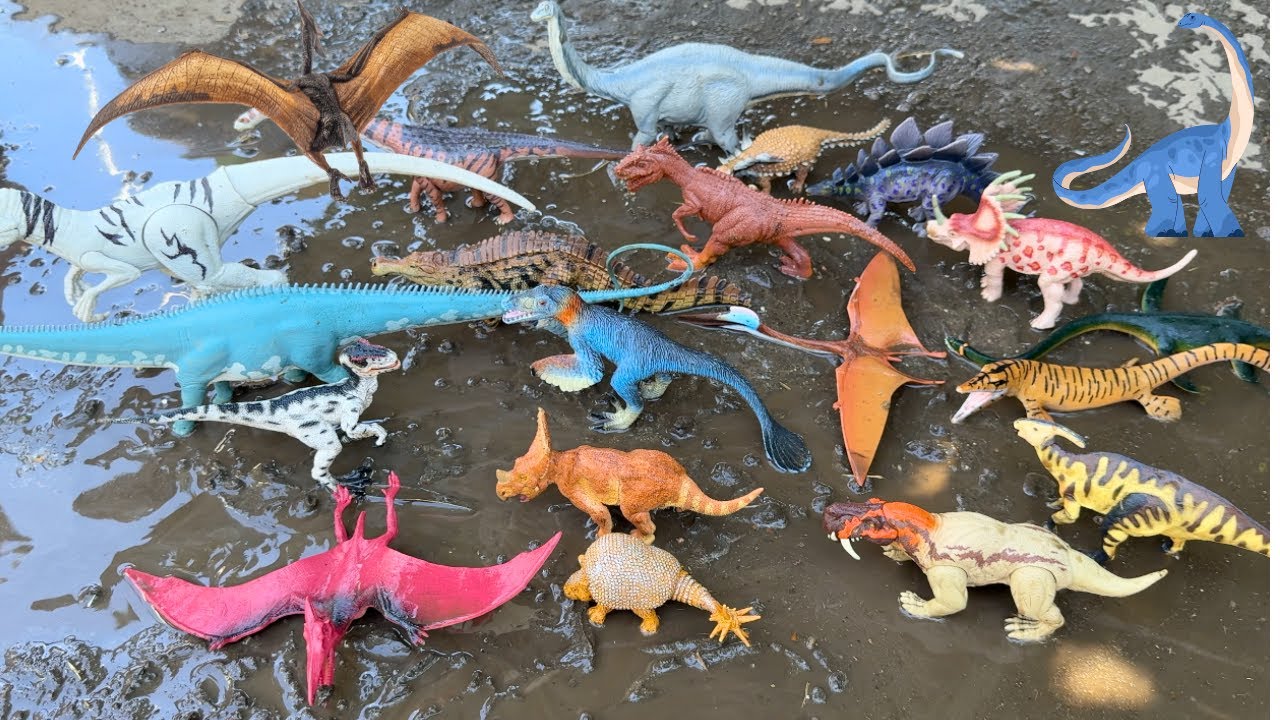 MUD DINOSAURS WASH VELOCIRAPTOR, ELASMOSAURUS, DIPLODOCUS, COOL DINOS ...