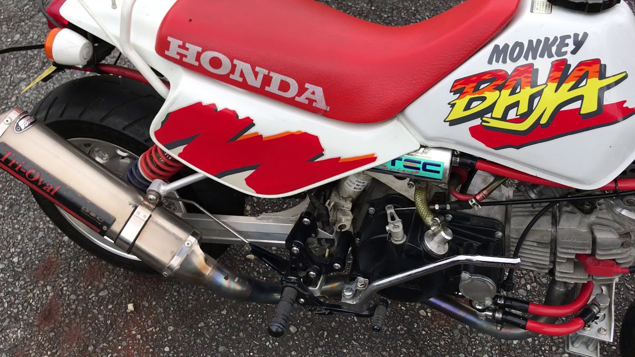 monkey baja dyna head - YouTube