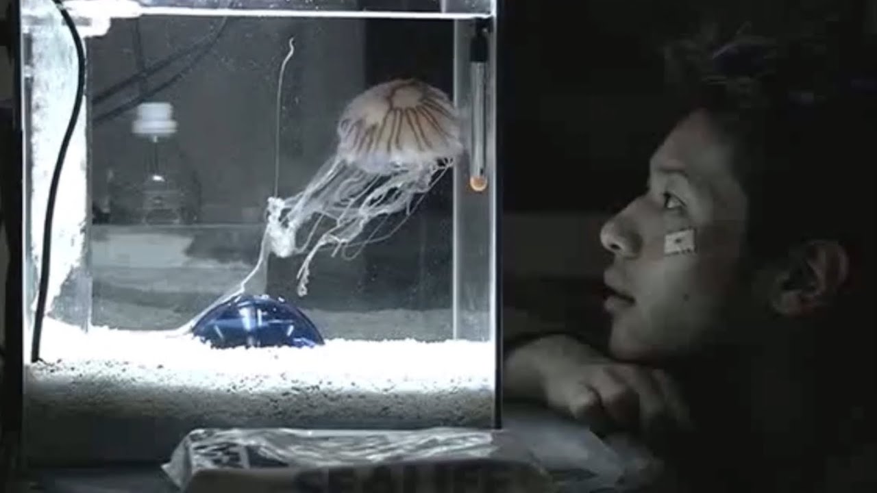 Bright Future (2003) Steakfry - Pick Your Head Up - YouTube