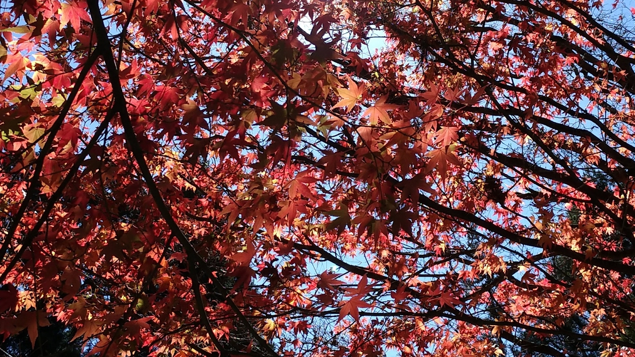 jerry bobo即時串流 - YouTube