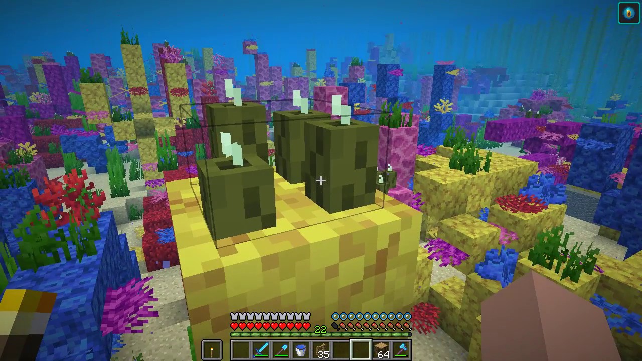 Minecraft 1.13.1 - Warm Ocean Biome - YouTube