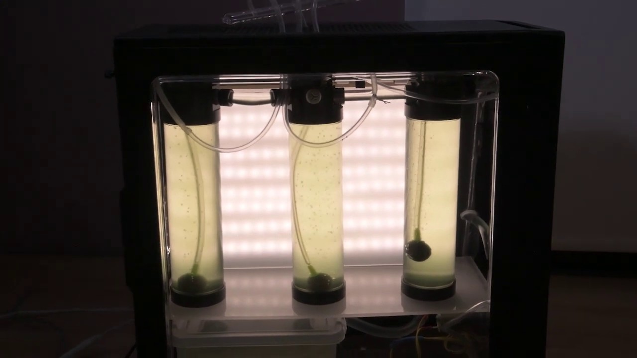 Prototyping a Hypergiant-style PhotoBioReactor at Home? - YouTube