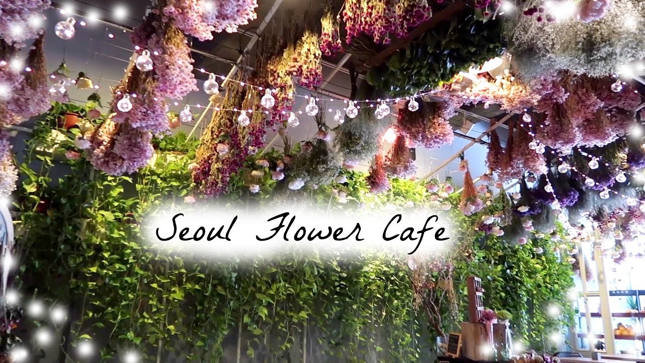 Seoul Flower Cafe - YouTube