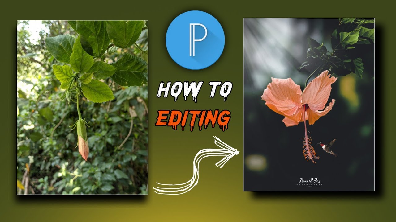 How to Edit Photo in Pixellab App | Minion Photo Editing | Photo ...
