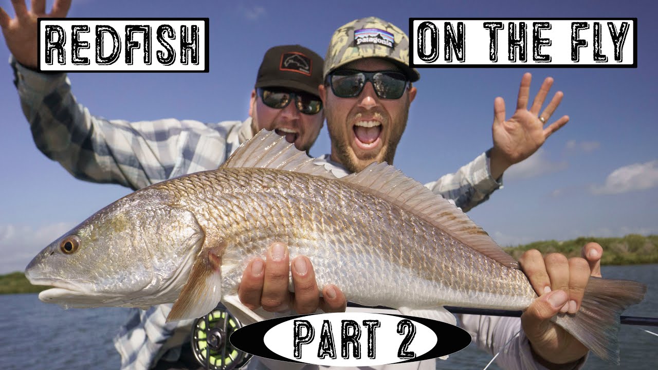 Redfish on the fly Part 2 - YouTube