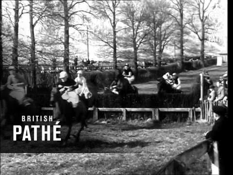 Cheltenham Races (1947) - YouTube