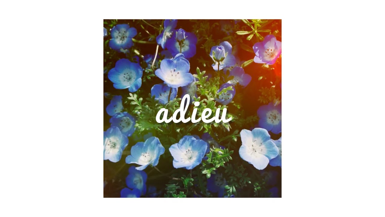 友羽『adieu(demo)』Lyric Video - YouTube